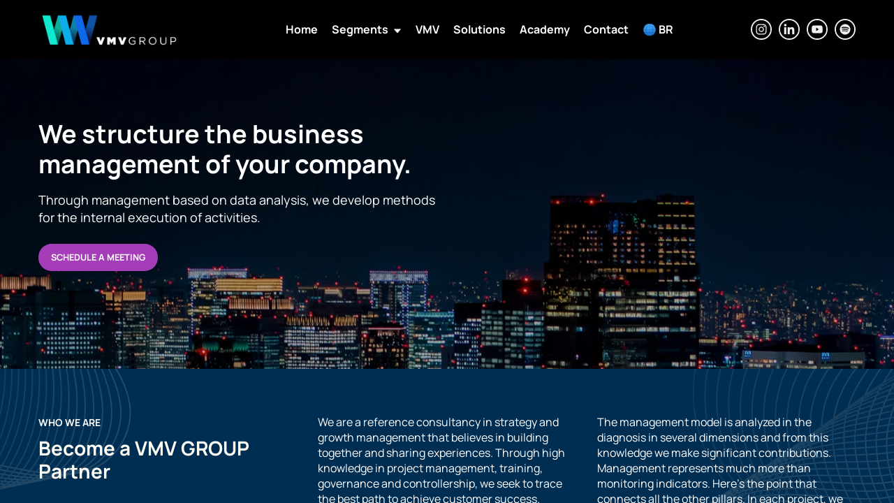VMV GROUP - Strategy and Management for Business
